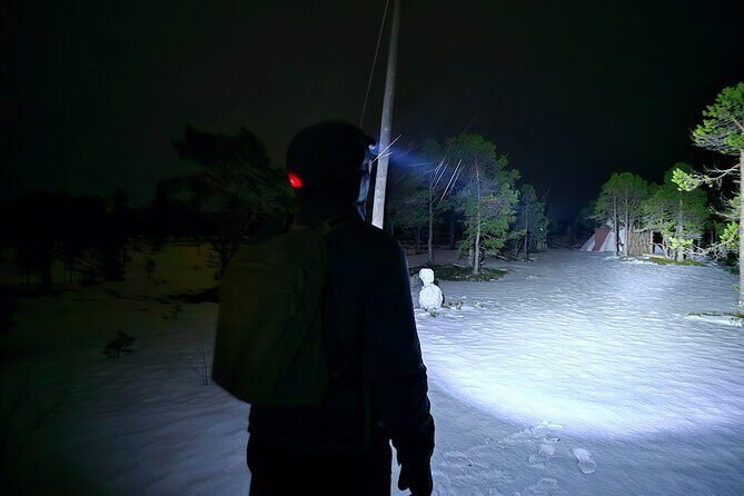 Starlit Adventure Tour in Tromsø  With Professional Photographer - Who Will Love This Tour?