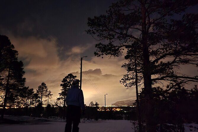 Starlit Adventure Tour in Tromsø  With Professional Photographer - Final Thoughts: Is It Worth It?