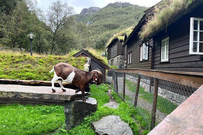 Stavanger Day Trip: Nature, Culture & Food - Practical Details and Tips