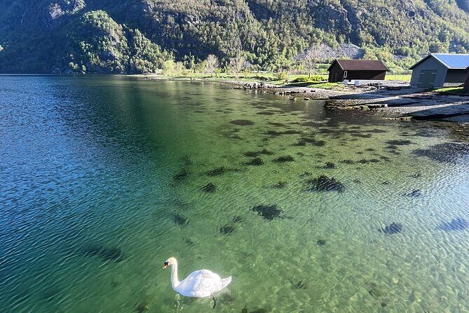 Stavanger Day Trip: Nature, Culture & Food - FAQ