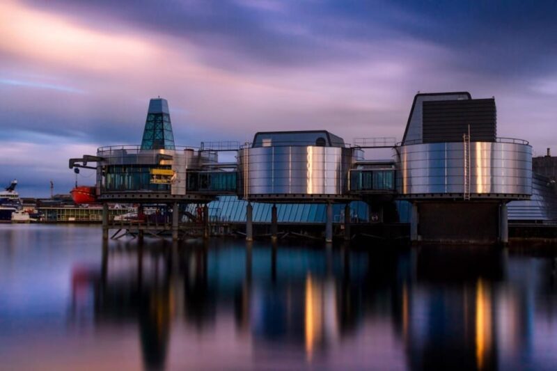 Stavanger: Norwegian Petroleum Museum - Entrance Ticket - Practical Tips