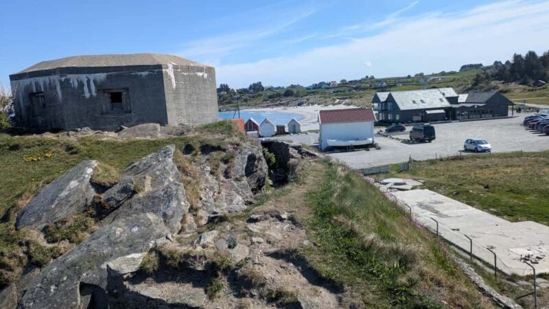 Stavanger: Sights & Highlights Minibus Tour and Museum Entry - Who Will Love This Tour?
