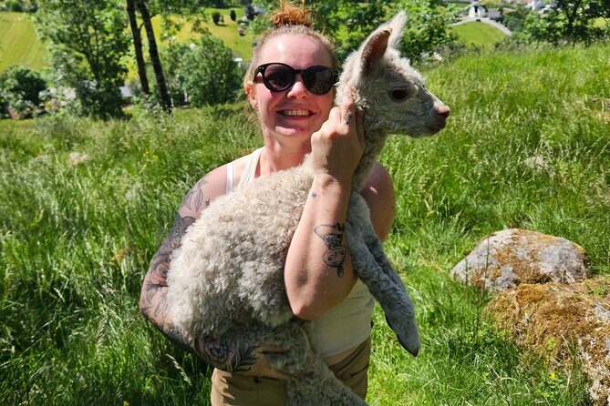 Steim Farm Experience in Vik, Norway - The Sum Up