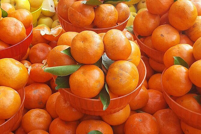 Steps Full of Flavor, Cancun Foodie & Market Tour - Who Will Love This Tour?