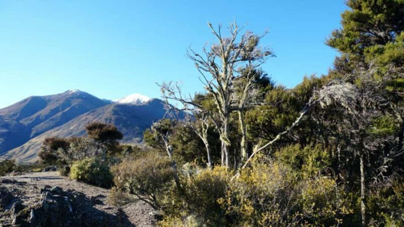 Stevensons Island 2-Hour Cruise and Nature Walk - The Beach Landing and Island Hike