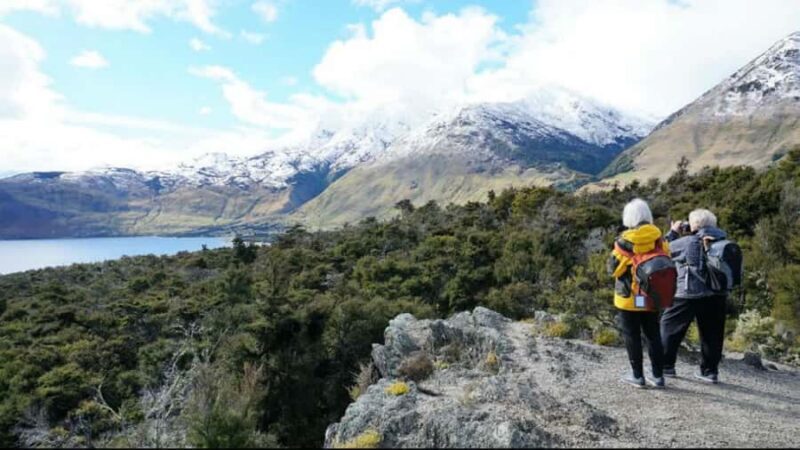 Stevensons Island 2-Hour Cruise and Nature Walk - Why This Tour Works