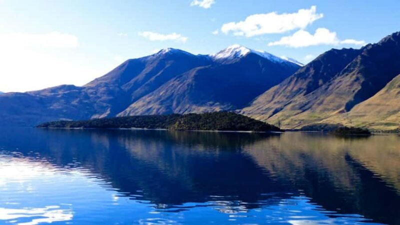 Stevensons Island 2-Hour Cruise and Nature Walk - Final Thoughts