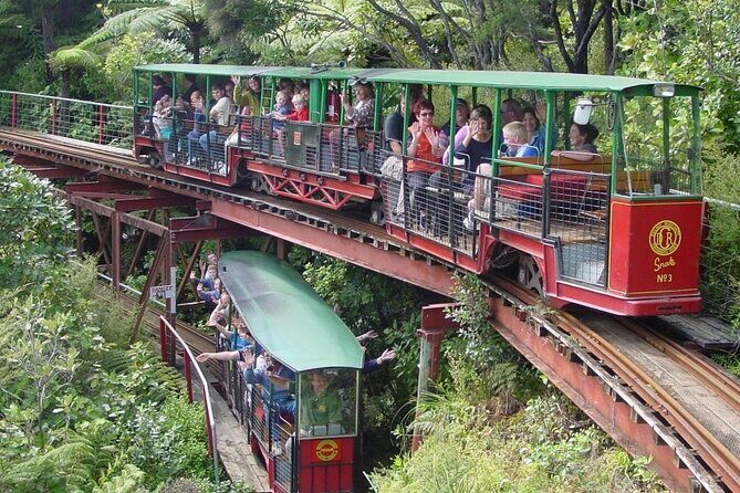[Stevong Travel] West Coromandel Day Tour - What Makes This Tour Stand Out?