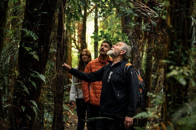 Stewart Island Guided Wilderness Walk - Practical Tips for Participants