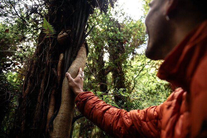 Stewart Island Guided Wilderness Walk - Who Would Love This Tour?
