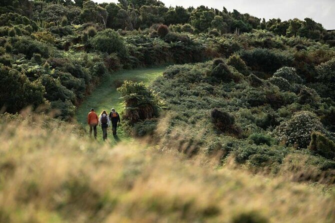 Stewart Island Guided Wilderness Walk - FAQs