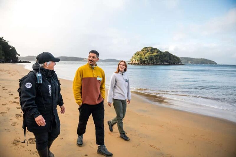 Stewart Island: Guided Wilderness Walk - An Authentic Stewart Island Experience: What to Expect