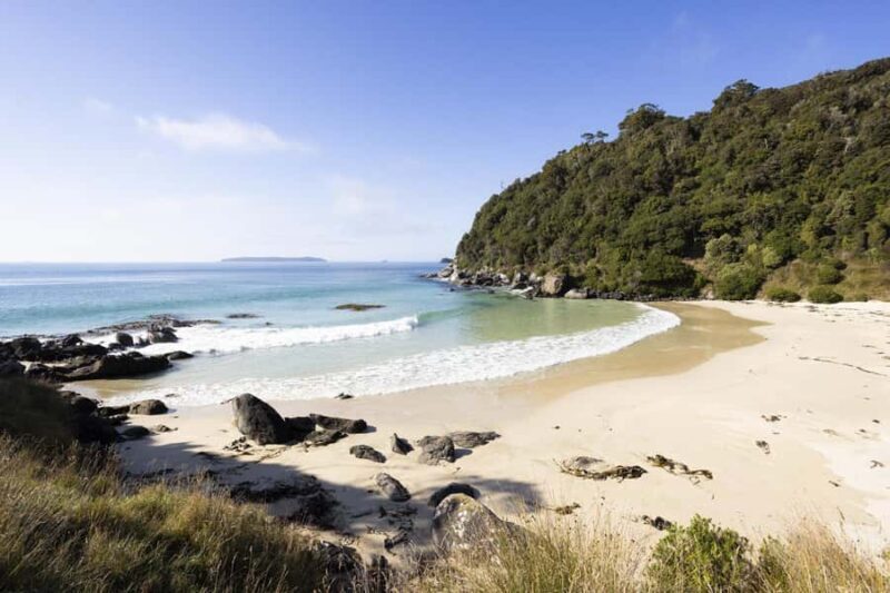 Stewart Island: Guided Wilderness Walk - Practical Tips for Your Journey