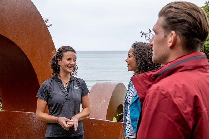 Stewart Island: Village and Bays Tour - Who is This Tour Best Suited For?