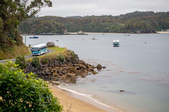 Stewart Island: Village and Bays Tour - Summary