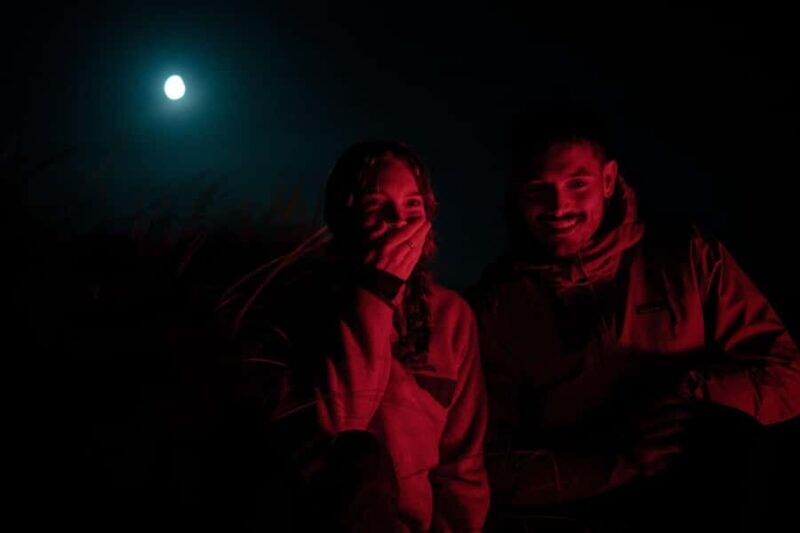 Stewart Island: Wild Kiwi Experiences - Final Thoughts: Is It Worth It?