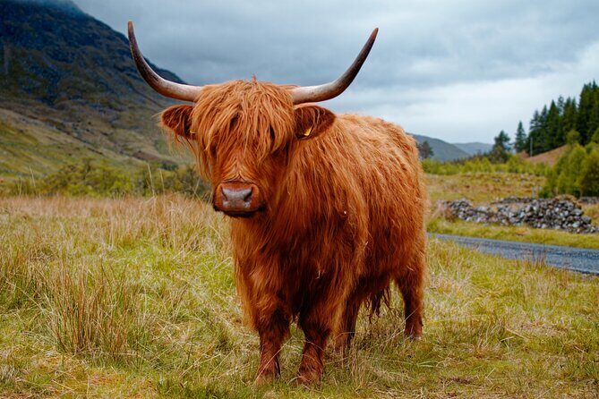 Stirling Castle Whisky and The Kelpies Tour - The Full Experience: What to Expect on the Tour