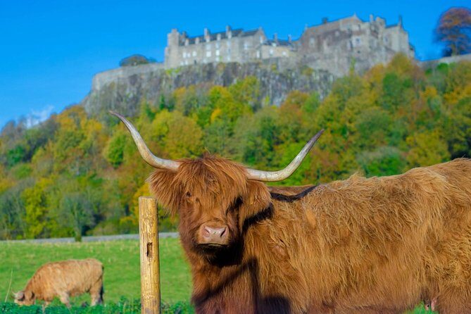 Stirling Castle,Trossachs National and Loch Lomond Day Tour from Edinburgh - The Itinerary Break-down