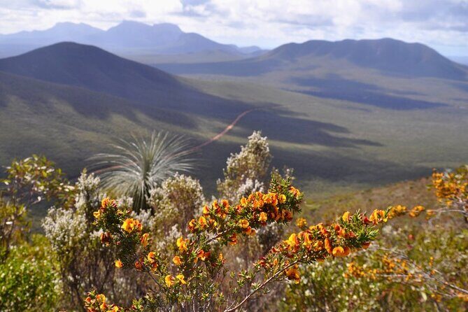Stirling Range National Park Self Guided Driving Tour - Practical Details and What to Expect
