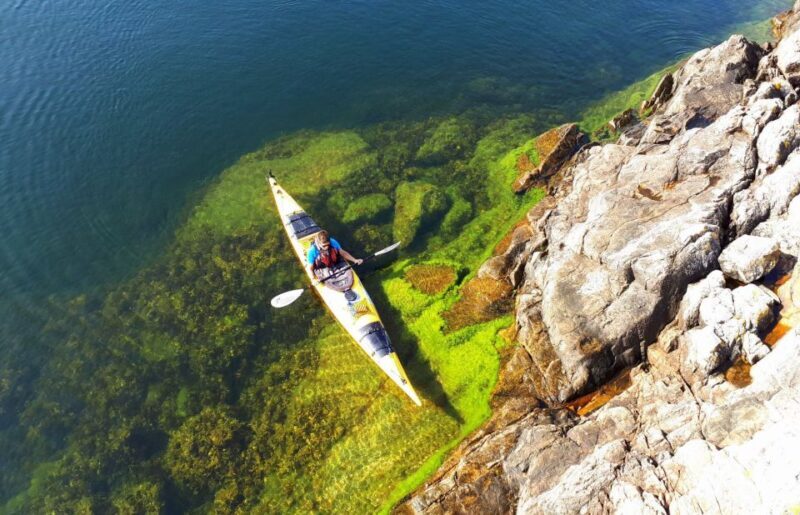 Stockholm: 1, 2, or 3-Day Kayaking Tour in the Archipelago - Authentic Feedback from Travelers