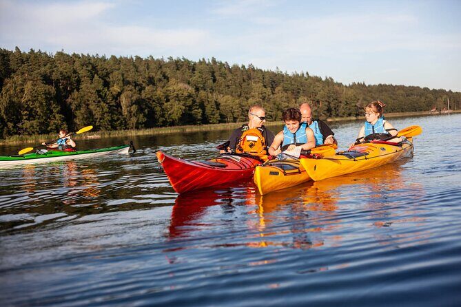 Stockholm: Archipelago Family-Friendly Private Kayaking Tour - A Deep Dive into the Stockholm Archipelago Kayaking Experience
