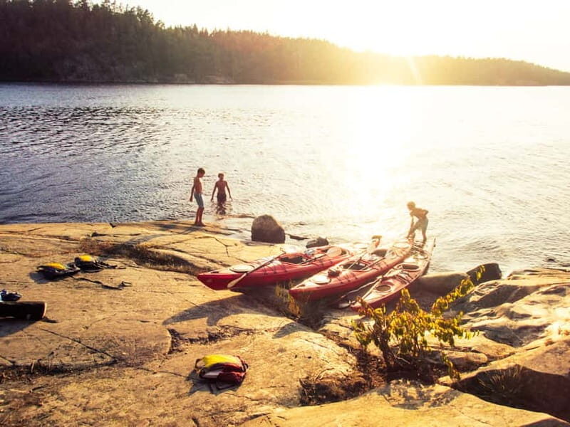 Stockholm: Archipelago Islands Kayak Tour and Outdoor Picnic - Who Will Love This Tour?