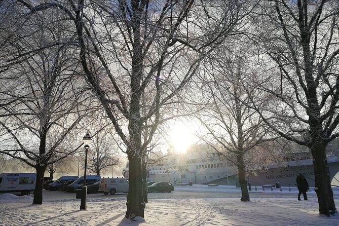 Stockholm Christmas Tour and Food Tasting Experience - Who Would Love This Tour?