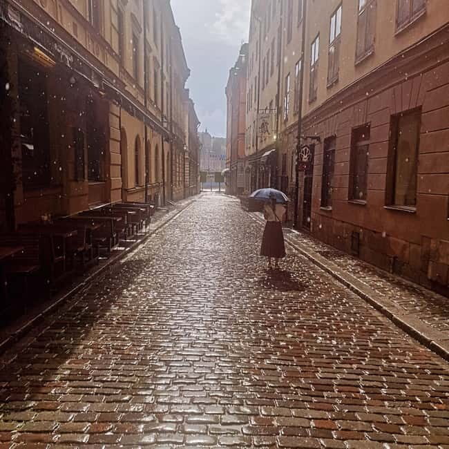 Stockholm City: Visit Icebar and Vasamuseum - Who Would Love This Tour?