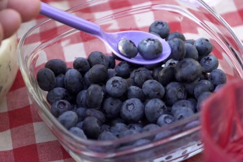 Stockholm: Evening Wildlife Safari with Midsummer Meal - Discovering the Hidden Wilderness of Stockholm