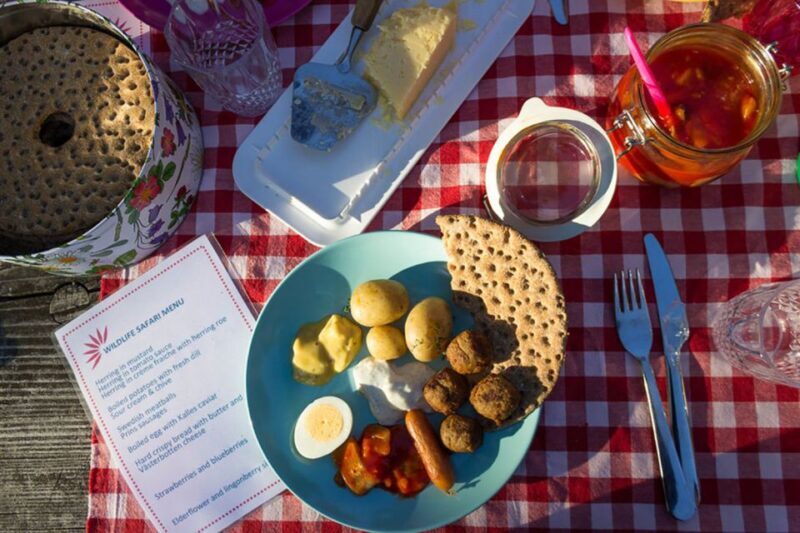 Stockholm: Evening Wildlife Safari with Midsummer Meal - The Sum Up: Is This Tour Worth It?