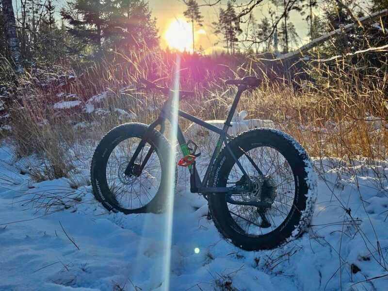 Stockholm: Fat Bike Forest Adventure with Lunch and Sauna - Who Will Love This Tour?