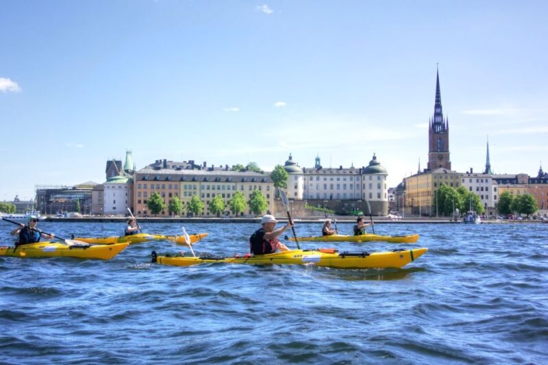 Stockholm: Guided Kayak City Tour & Optional Midsummer Meal - Final Words