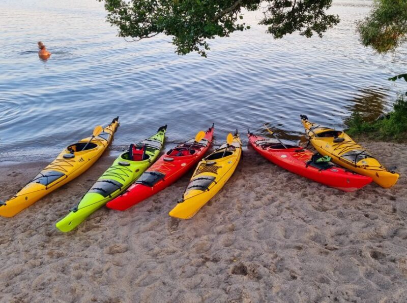 Stockholm: Guided Kayak Tour to Drottningholm Royal Palace - Authentic Experiences from Reviews