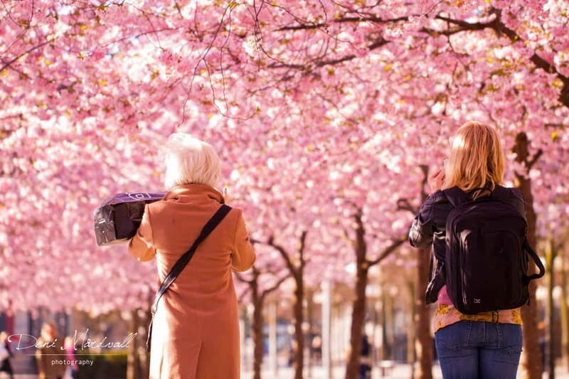 Stockholm: Highlights Guided Walking Tour - Key Points