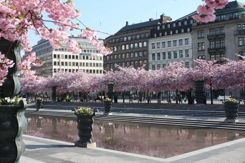 Stockholm: Highlights Guided Walking Tour - The Sum Up