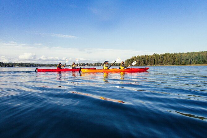 Stockholm: Kayaking tour around Vaxholm Archipelago with Fika - Who Should Consider This Tour