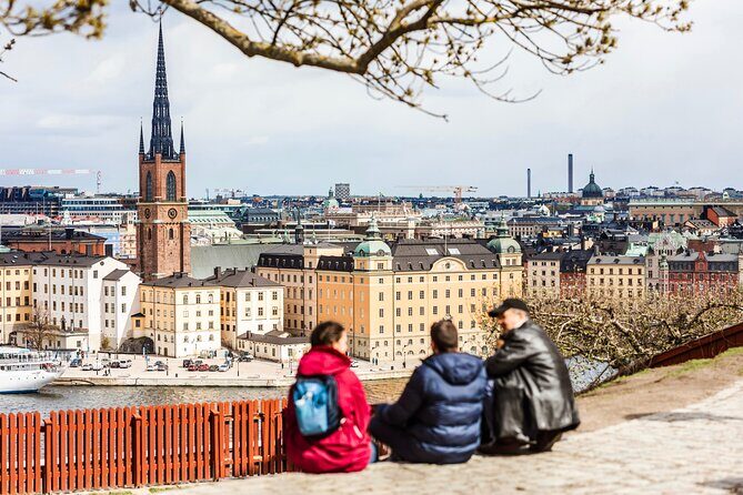 Stockholm Private Custom Tour with a Local Guide, Highlights & Hidden Gems - The Practicalities: What’s Included and What Isn’t