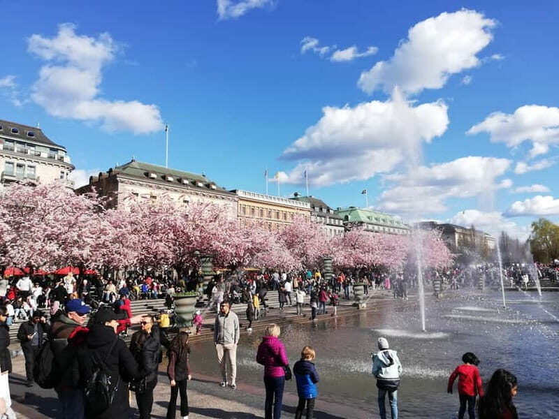 Stockholm: Scandinavian Architecture & Design Ostermalm Tour - What You’ll Love About This Tour