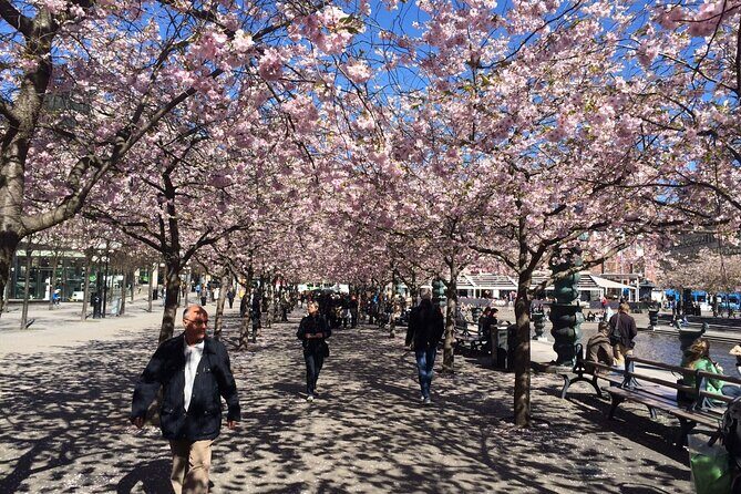 Stockholm Scavenger Hunt and Highlights Self Guided Audio Tour - The Sum Up
