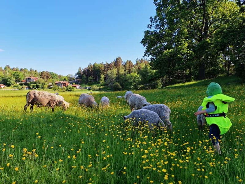 Stockholm: Self Guided Kayak Adventure in Nature Reserve - Who Should Consider This Tour?