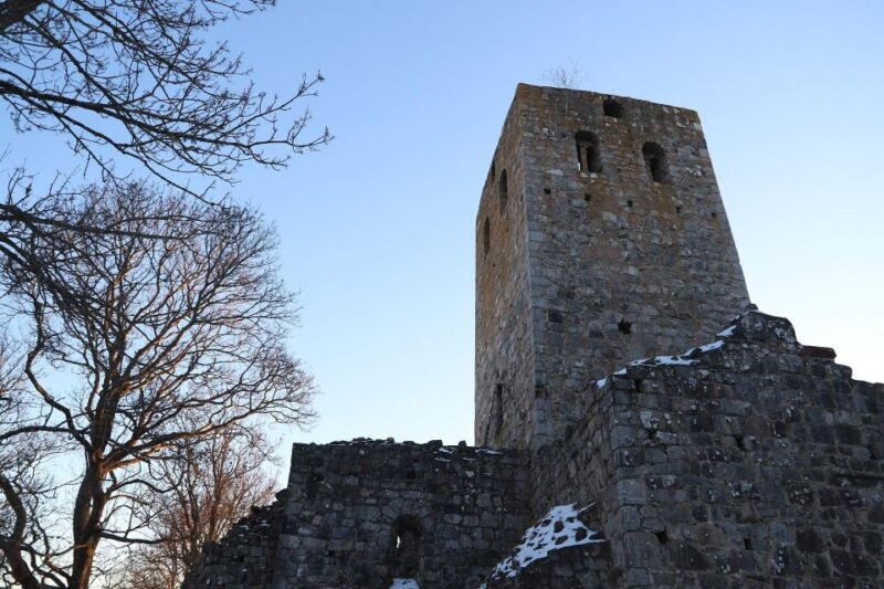Stockholm: Sigtuna and Uppsala Viking History Day Tour - Key Points