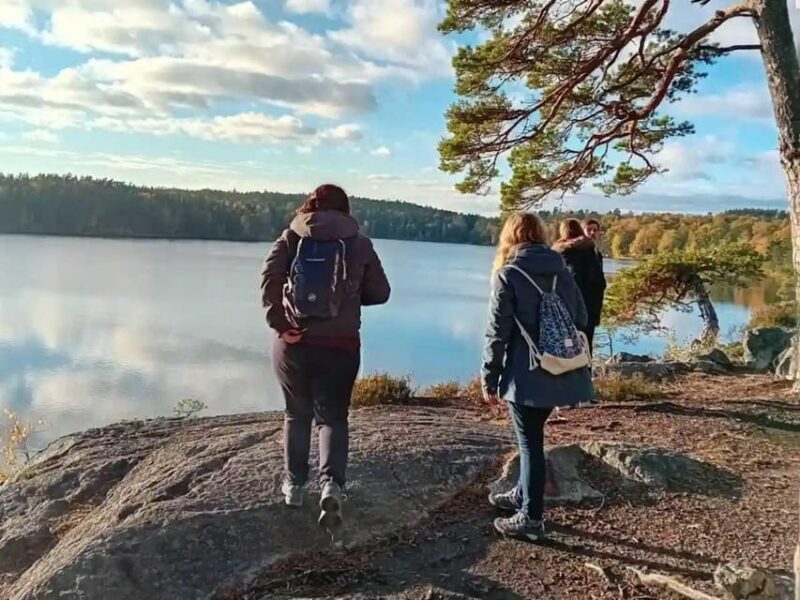 Stockholm: Sunset Hike in Tyresta National Park with Meal - Practical Considerations