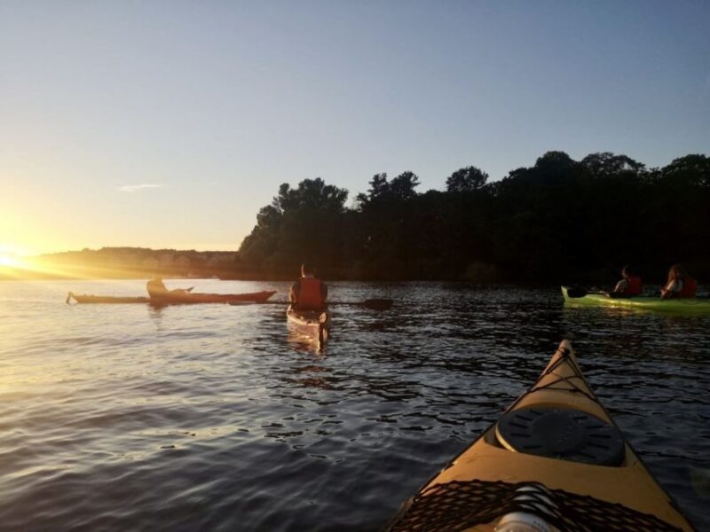 Stockholm: Sunset Kayak Tour in the City + Swedish Fika - The Sum Up: Who should consider this kayaking sunset tour?