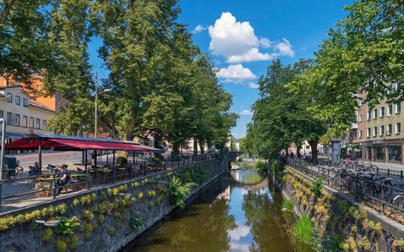 Stockholm: Uppsala Half-Day Swedish Oxford & Cathedral Tour - What You Can Expect from the Tour