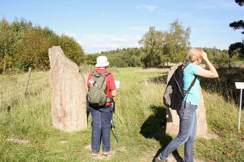 Stockholm Viking History Full Day Tour to Sigtuna + Uppsala - The Itinerary: What to Expect on Your Viking Adventure