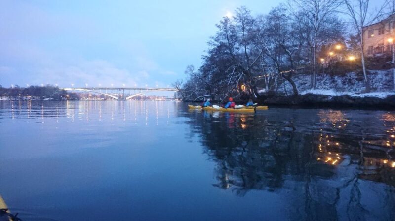Stockholm: Winter City Kayaking Tour - Key Points