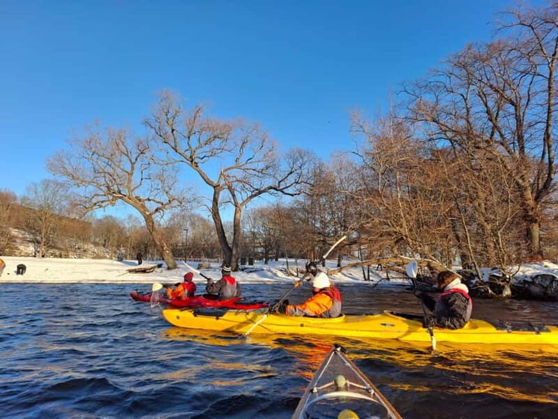 Stockholm: Winter Kayaking Tour through the City Centre - The Highlights: Why This Tour Works