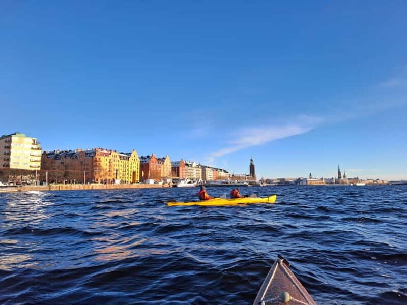 Stockholm: Winter Kayaking Tour through the City Centre - Who Will Enjoy This Tour?