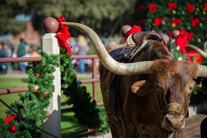 Stockyards Holiday Food & Culture Tour in Forth Worth - Exploring the Stockyards Holiday Food & Culture Tour in Fort Worth: An In-Depth Review