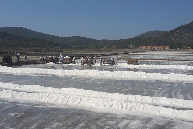 Ston Gastro Tour - Frequently Asked Questions (FAQ)